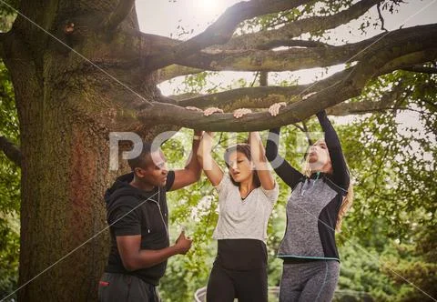 Photograph: Personal trainer instructing two women on pull ups using ...