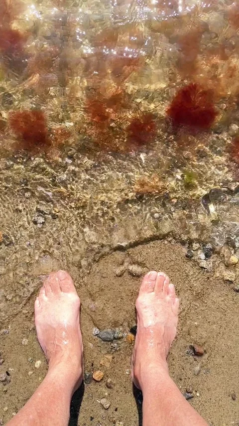 Person's bare feet standing in shallow w... | Stock Video | Pond5
