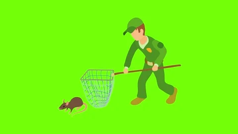 Pest Control Animation Stock Footage ~ Royalty Free Stock Videos | Pond5