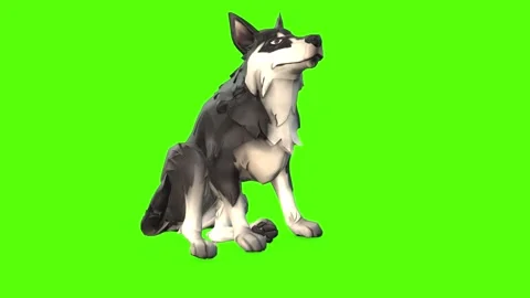 Pet Dog Sneezing Green Screen Animation ... | Stock Video | Pond5