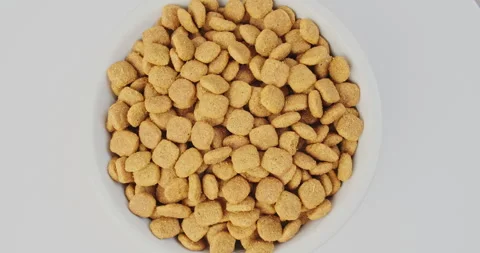 Pet food. Dry food in a plate rotates, t... | Stock Video | Pond5