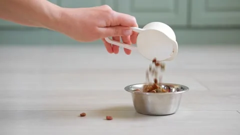 Female Dogpile Stock Footage ~ Royalty Free Stock Videos | Pond5