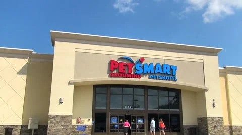 Pet Logos Stock Video Footage | Royalty Free Pet Logos Videos | Pond5