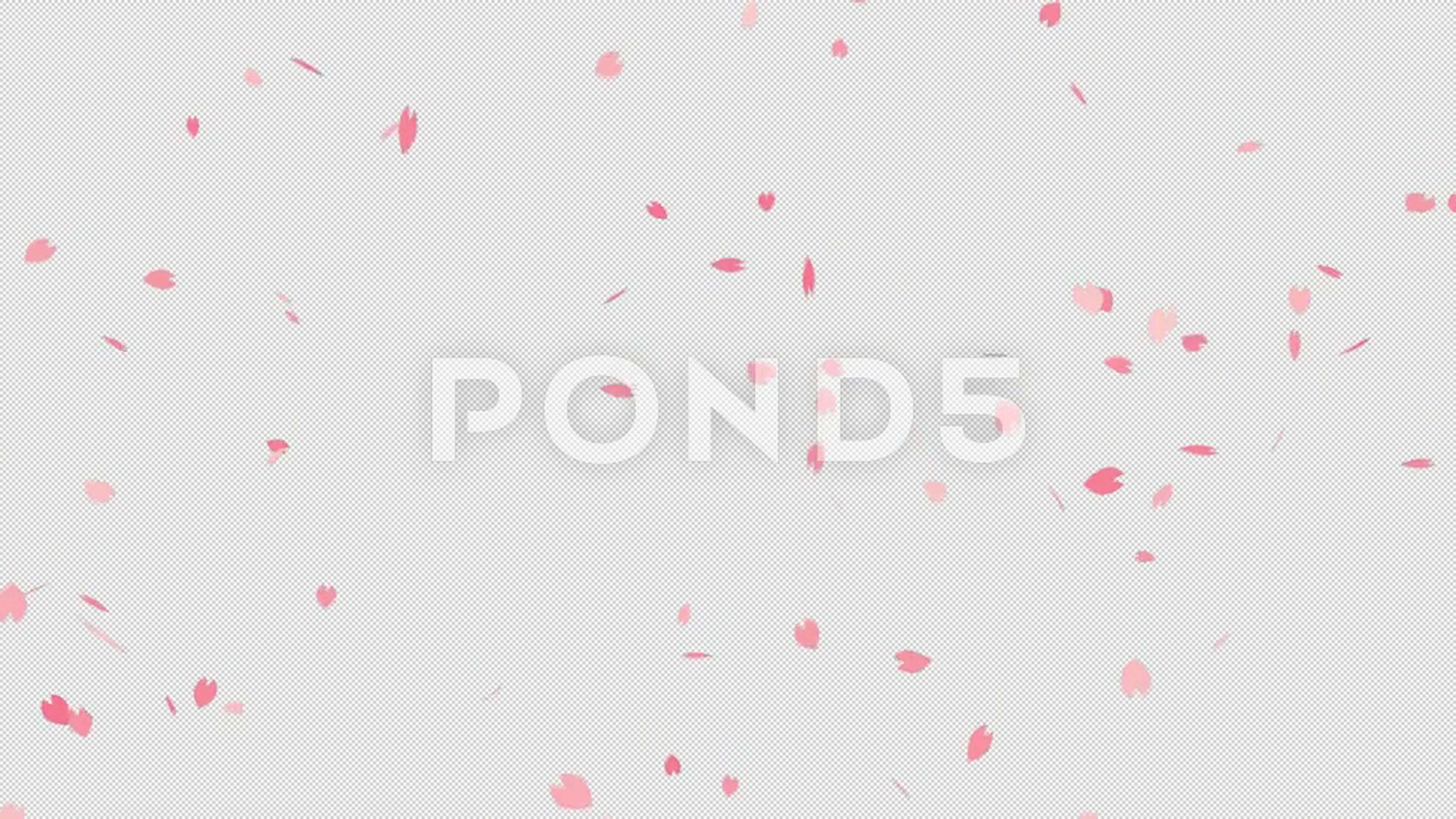 Falling Sakura Petals Gif