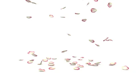 Rose Border Backgrounds Stock Videos – Royalty-Free HD & 4K Videos