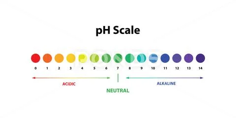Ph Scale chart indicator diagram value. Illustration #249835888
