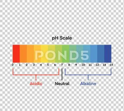 Ph scale diagram, Ph scale graphic, Acid to base ~ Clip Art #251840543