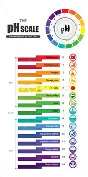 The pH scale Universal Indicator pH Color Chart diagram: Graphic #81008821