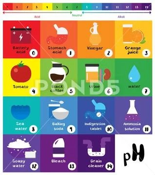 Universal Indicator Ph Scale Acid Wool Dye Easy PH Testers