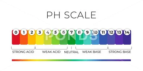 PH value scale chart for acid-alkaline solution. Acid-base balance infographic Illustration ...