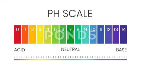 PH value scale chart for acid-alkaline solution. Acid-base balance ...