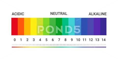 Ph Value Scale Acidbase Balance Stock Vector Ph Value Scale Chart For