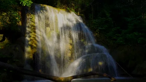 The Thong Man Stock Videos – Royalty-Free HD & 4K Videos | Pond5