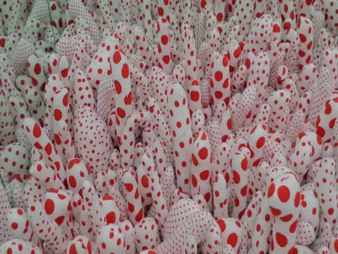 Phallis field by Yayoi Kusama | Stock Video | Pond5