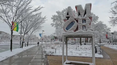 Amor Stock Footage ~ Royalty Free Stock Videos | Pond5