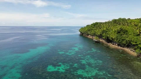 Philippine Coastal Jungle Meets Sea Trac... | Stock Video | Pond5