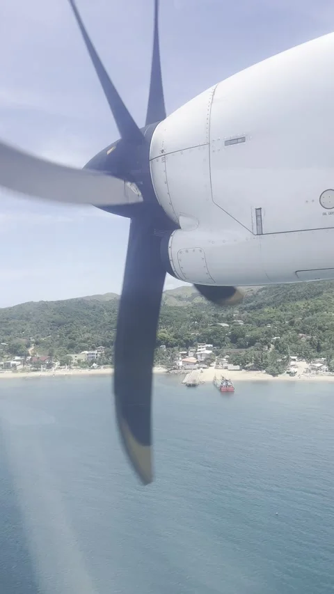 El Fly Stock Video Footage | Royalty Free El Fly Videos | Pond5