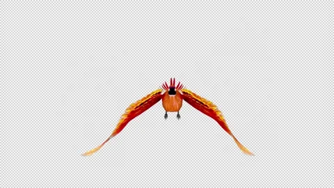 Phoenix Bird - Hot Red - Flying Loop - F... | Stock Video | Pond5