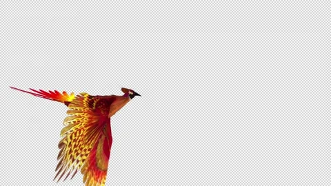 Flying Phoenix Stock Video Footage | Royalty Free Flying Phoenix Videos ...