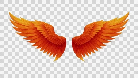 Bird Phoenix Fire Stock Videos – Royalty-Free HD & 4K Videos