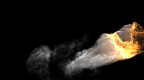 Bird Phoenix Fire Stock Videos – Royalty-Free HD & 4K Videos