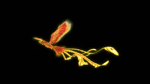 Bird Animation Stock Videos – Royalty-Free HD & 4K Videos