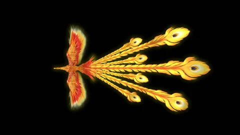 Flying Phoenix Stock Videos – Royalty-Free HD & 4K Videos