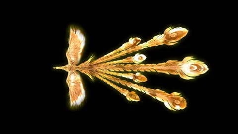 Flying Phoenix Stock Videos – Royalty-Free HD & 4K Videos