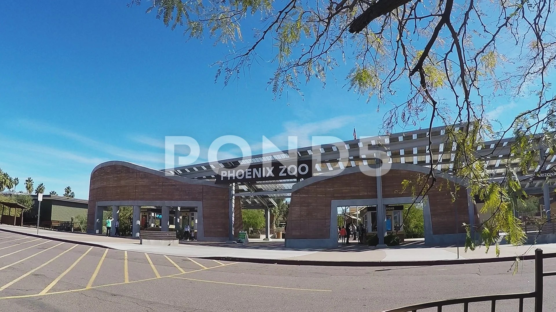 Phoenix Arizona Zoo Store Phoenix Zoo Gift Shop | TikTok