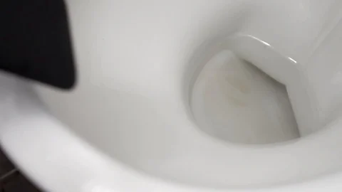 Warm Toilet Water Stock Videos – Royalty-Free HD & 4K Videos