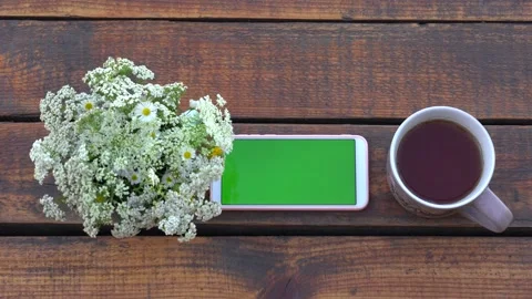 Phone with green screen, bouquet of wild... | Stock Video | Pond5