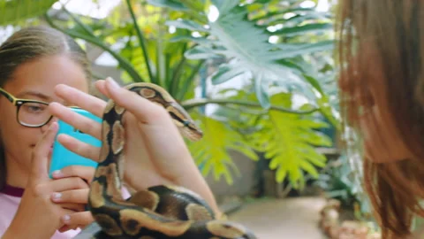 Phone, nature and girl with snake in han... | Stock Video | Pond5