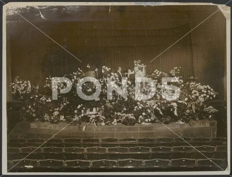 Photograph: Photo collection First World War. Flower Holding 25 Year ...