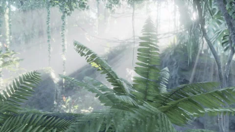 photo inside a rainforest covered in bri... | Stock Video | Pond5