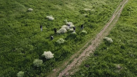 Naturalist Photo Stock Videos – Royalty-Free HD & 4K Videos | Pond5