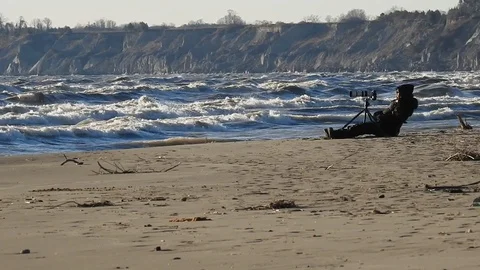 Bunny Pictures Photo Stock Videos – Royalty-Free HD & 4K Videos