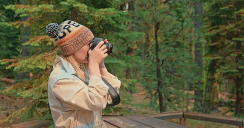 Fall Picture Stock Videos – Royalty-Free HD & 4K Videos