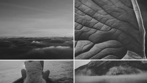 Photography Showcase Slideshow (Memory Frames) ~ After Effects #243130101