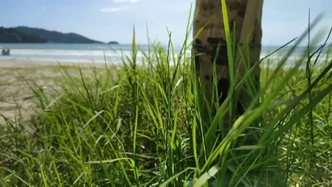 T33N L34Ks Link Stock Videos – Royalty-Free HD & 4K Videos