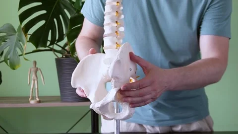 Physiotherapist Demonstrating Iliac Cres... | Stock Video | Pond5