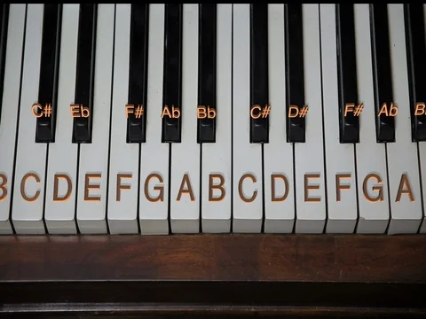 Piano Keyboard key note names 3D trackin... | Stock Video | Pond5