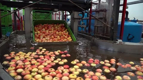 Place In Line Stock Videos – Royalty-Free HD & 4K Videos