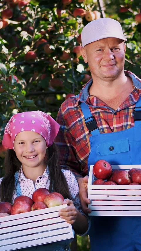 Hot Farm Day Stock Videos – Royalty-Free HD & 4K Videos | Pond5