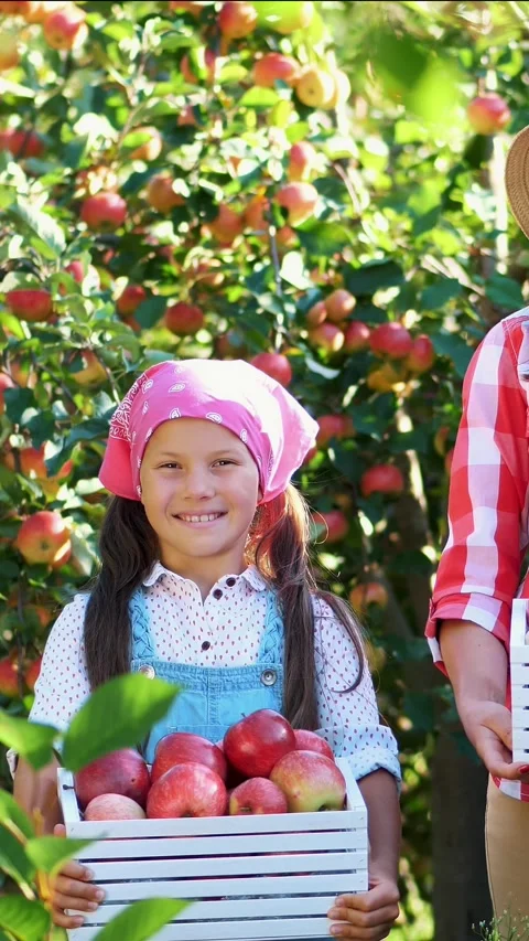 Red Farmgirl Hot Stock Videos – Royalty-Free HD & 4K Videos