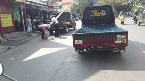 From Whose Back Stock Videos – Royalty-Free HD & 4K Videos