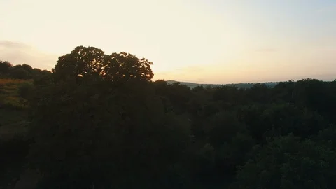 Picture Orange Stock Videos – Royalty-Free HD & 4K Videos | Pond5