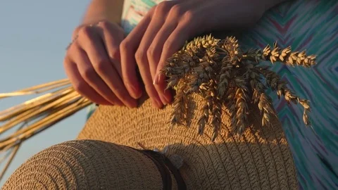 Seed Picture Stock Videos – Royalty-Free HD & 4K Videos