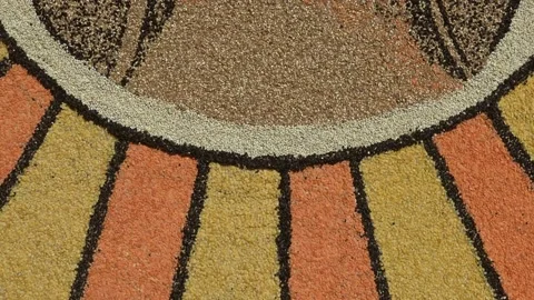 Seed Picture Stock Videos – Royalty-Free HD & 4K Videos