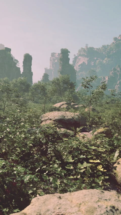 Picture Of Somoe Stock Videos – Royalty-Free HD & 4K Videos | Pond5