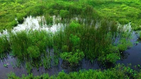 Fresh Puddles Stock Videos – Royalty-Free HD & 4K Videos | Pond5